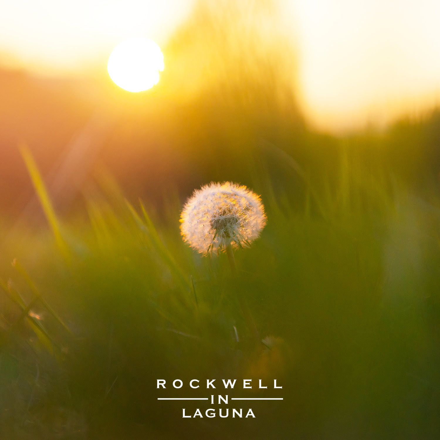 Rockwell South at Carmelray | A Whole New Home in the South is Here ...