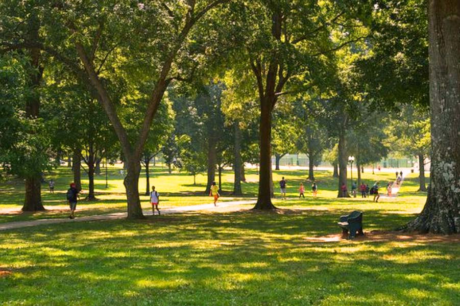 Lauan Ridges - Lipa Lots by Rockwell Land (2025 Pre Selling Promos)